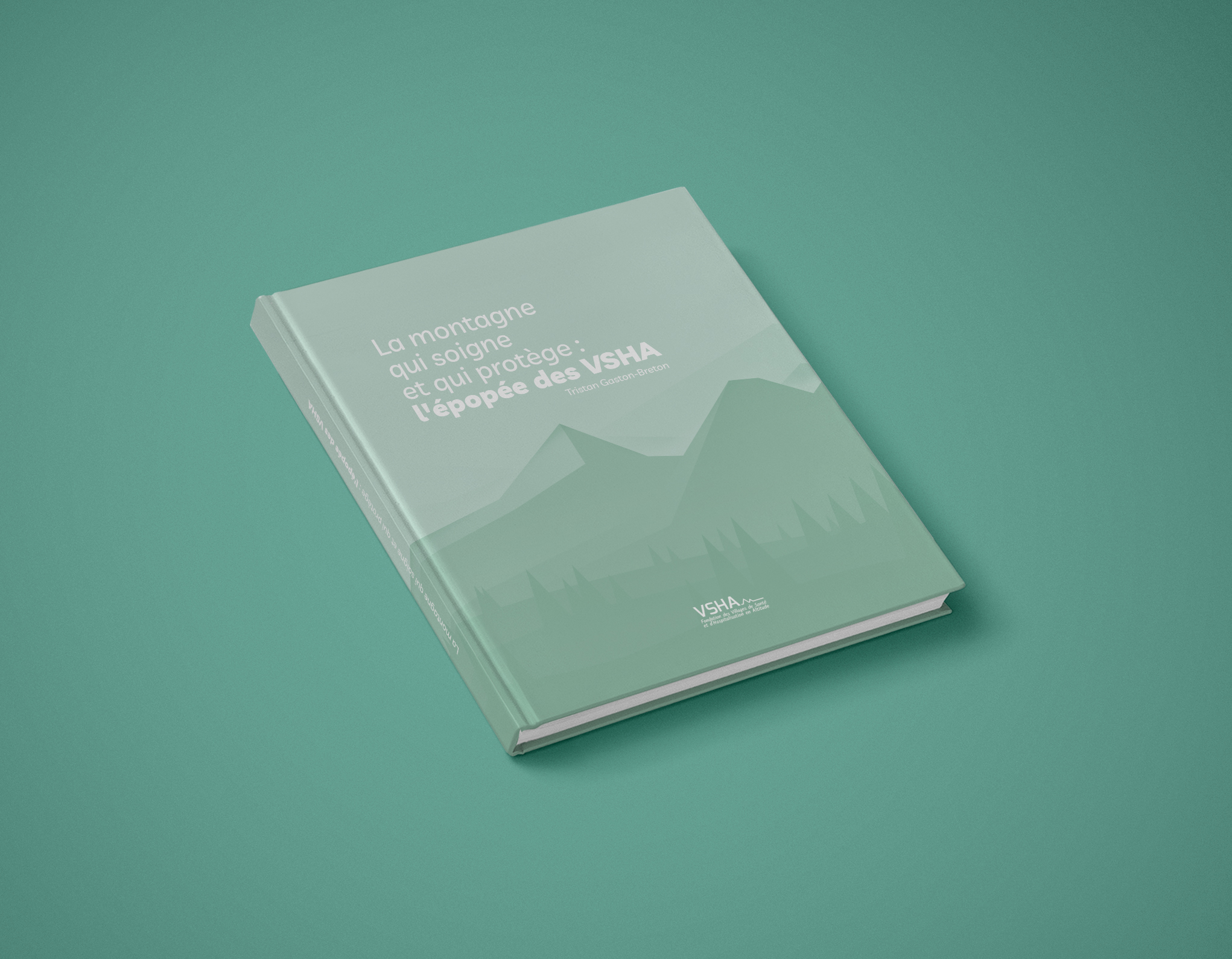 VSHA : l'histoire centenaire d'une grande fondation | History & Business